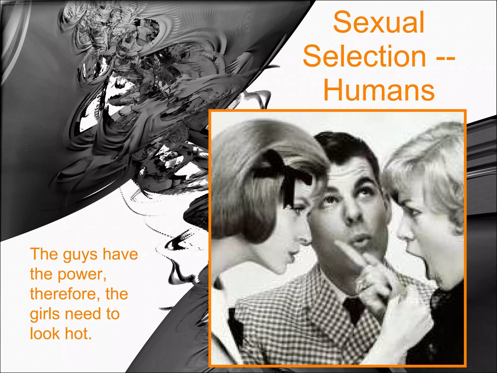 Sexual Selection Ppt