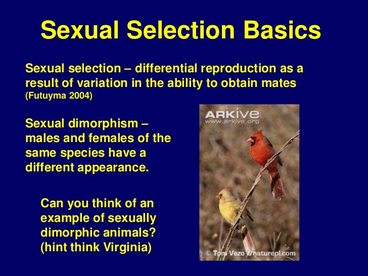 Sexual Selection