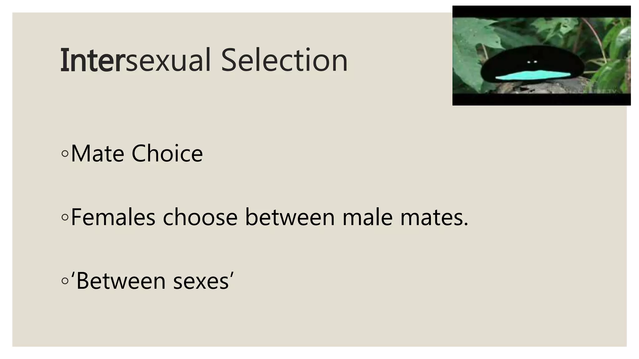 Sexual selection | PPTX