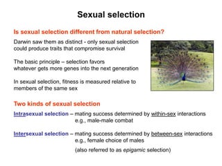 Sexual selection | PDF