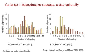 Sexual_selection_2020.pdf