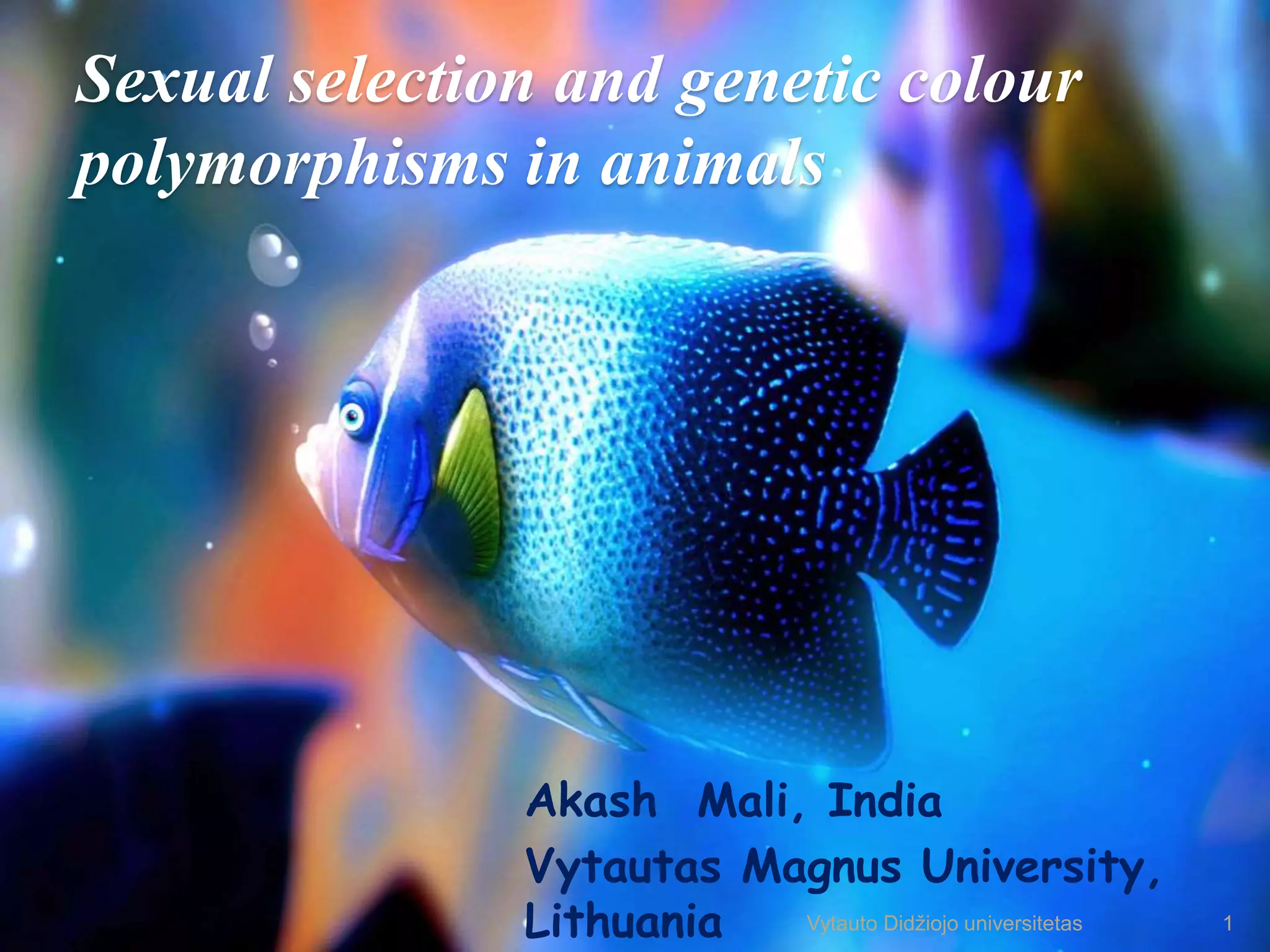 Sexual selection and genetic colour polymorphisms in animals | PPT