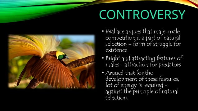 Animal Behaviour – SEXUAL SELECTION IN ANIMALS | PPTX