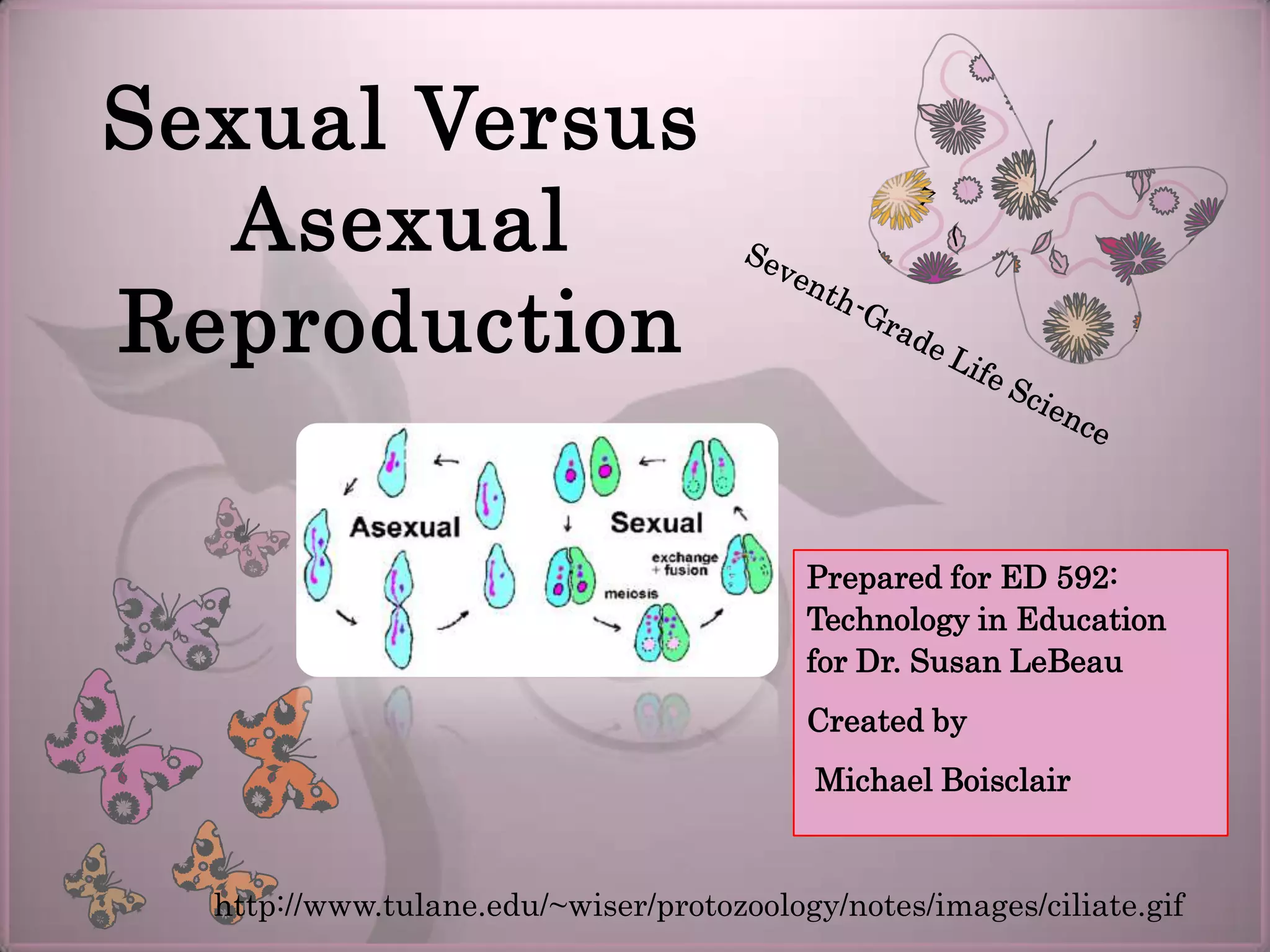 Sexual versus asexual reproduction | PPT