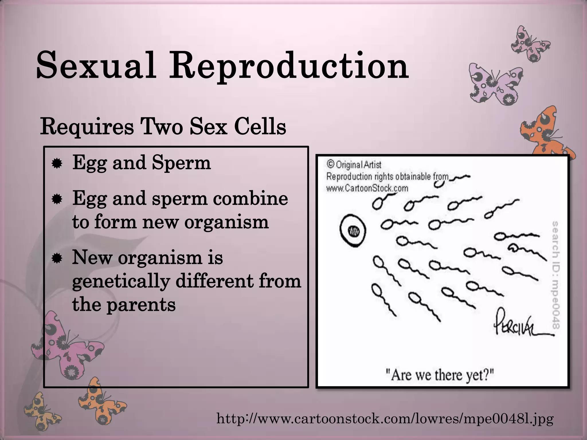 Sexual versus asexual reproduction | PPT