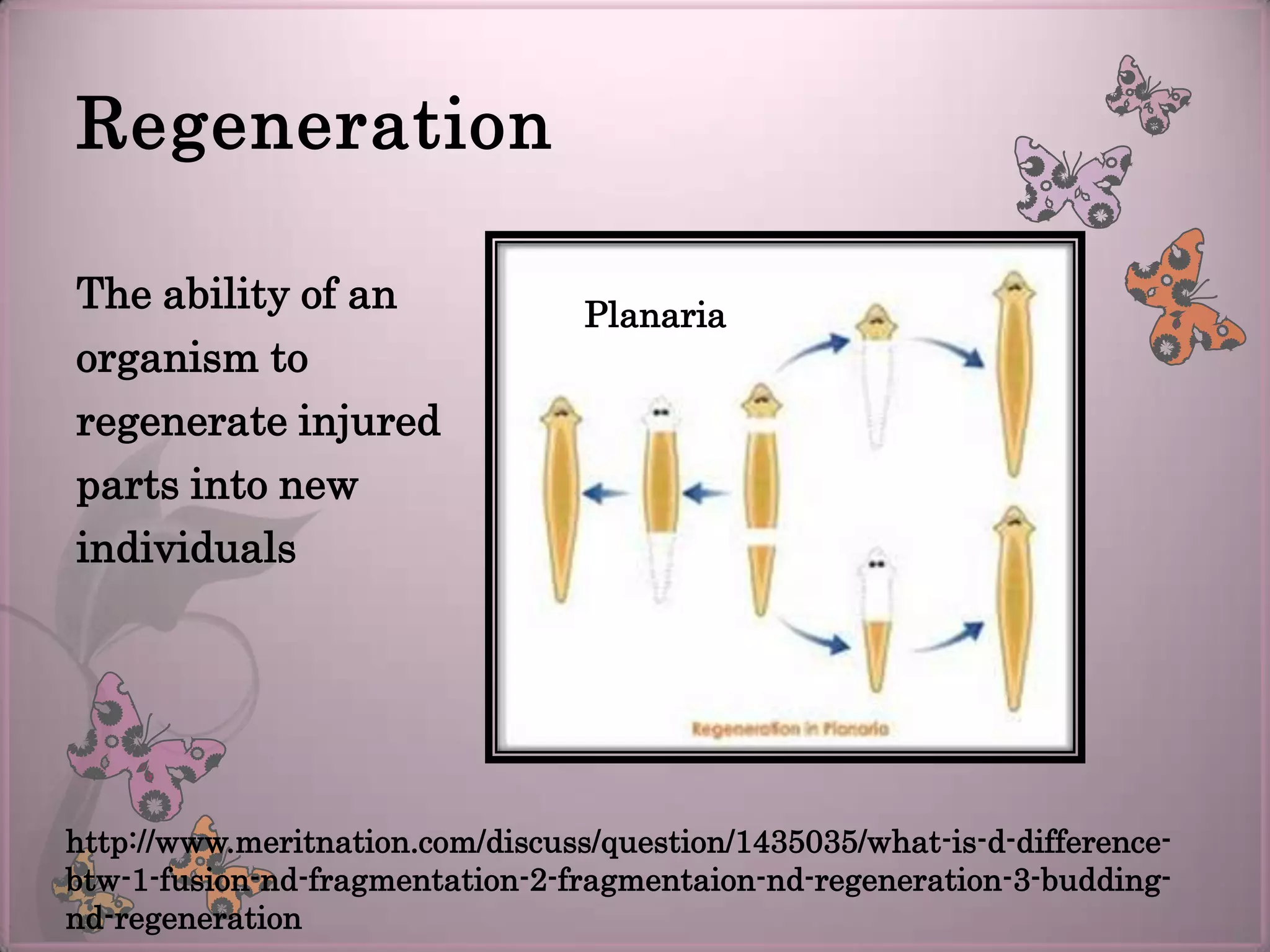 Sexual versus asexual reproduction | PPTX