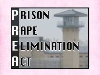 Sexual violence and the prison industrial complex | PPT
