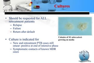 Seyedsaeid Seyedraoufi.ppt