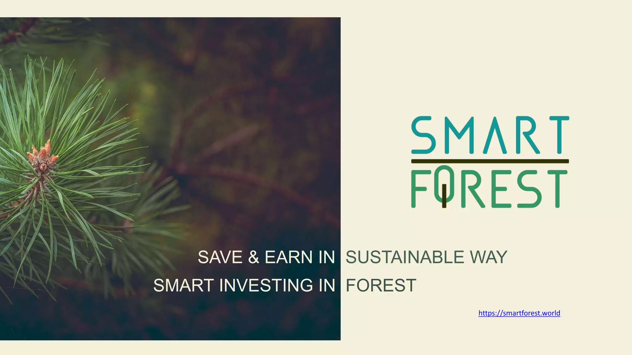 Smart Forest pitch/invest deck 19.11.2020