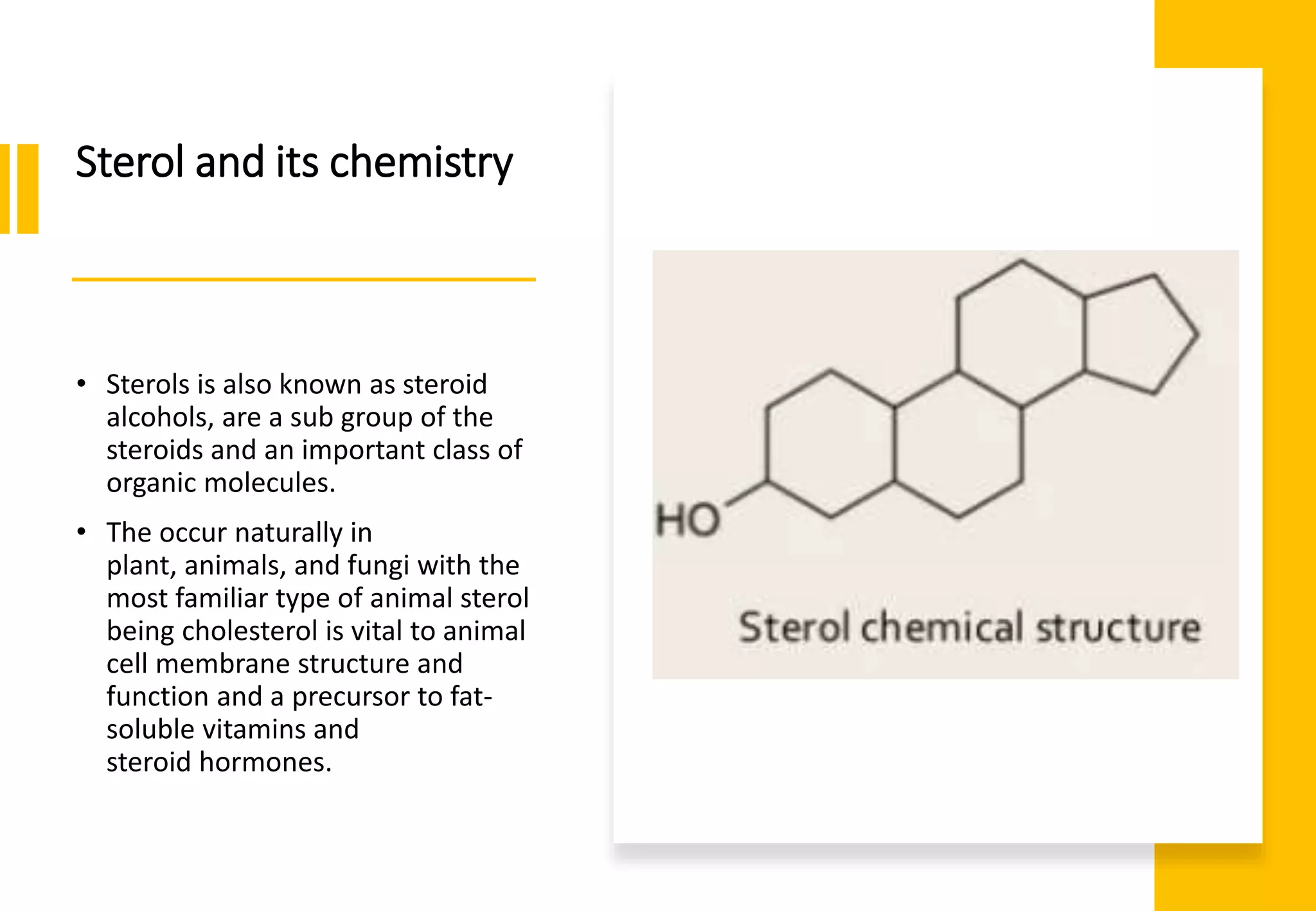 Steroids_Pooja_Rawat_Sem_4.pptx