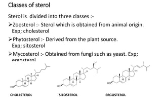 Steroids_Pooja_Rawat_Sem_4.pptx
