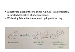 Steroids_Pooja_Rawat_Sem_4.pptx