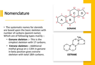 Steroids_Pooja_Rawat_Sem_4.pptx