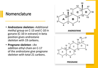 Steroids_Pooja_Rawat_Sem_4.pptx