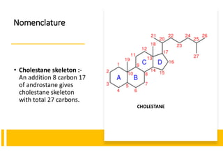 Steroids_Pooja_Rawat_Sem_4.pptx