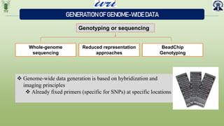 Genome Wide SNPs for Admixture Analysis and Selection Signatures | PPTX