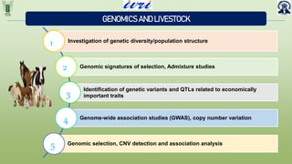 Genome Wide SNPs for Admixture Analysis and Selection Signatures | PPTX