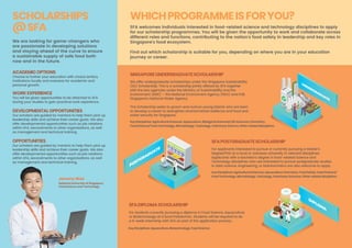 SFA Scholaship Brochure 2021 | PDF | Postgraduate Education | College ...