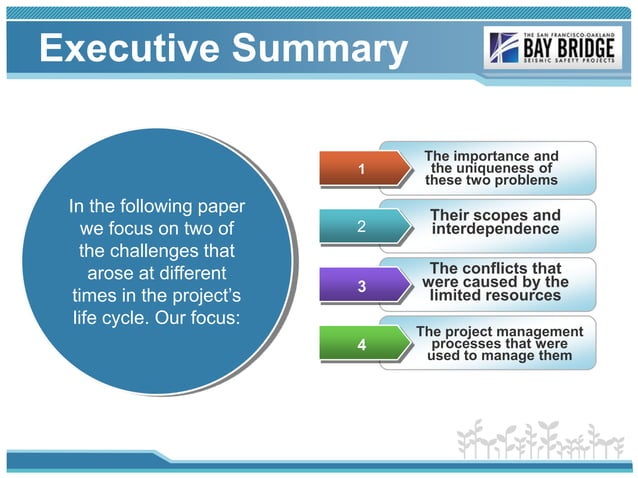 San Francisco Bay Bridge - Project Management Issues | PPTX