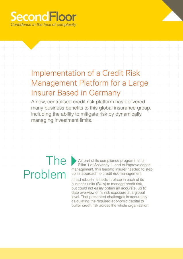 Implementation of a Credit Risk Management Platform for a Large Insurer ...