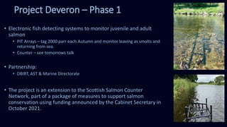 SFCC Biologists' Meeting - Deveron Update 2024.pptx