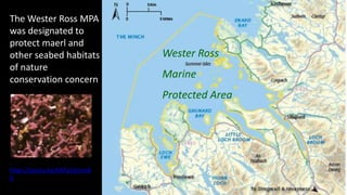 SFCC Biologists' Meeting - Wester Ross Update 2024.pdf