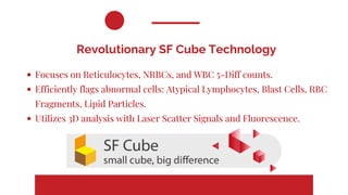 SF Cube.pdf