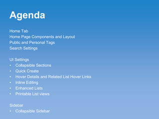 SFDC User Interface | PPT