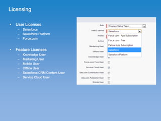 SFDC User Setup | PDF