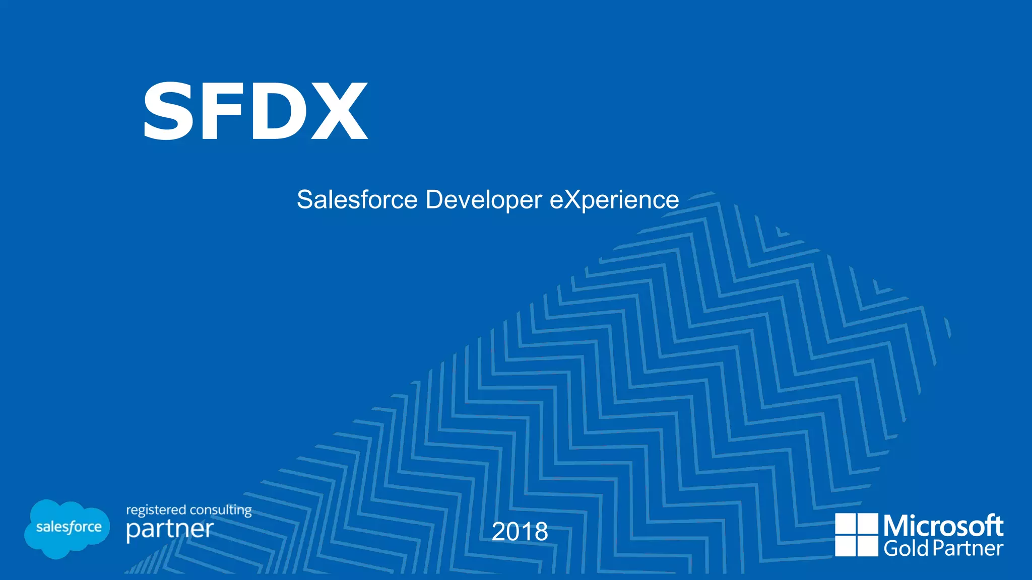 Salesforce Developer Experience Sfdx Ppt