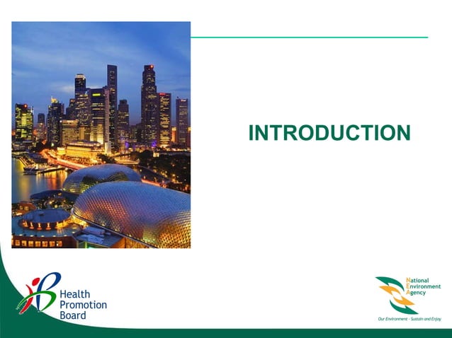 Sfe The Singaporean Experience | PPT