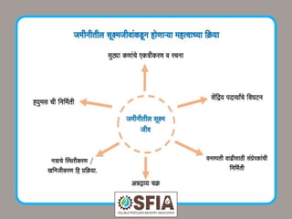 SFIA MRDBS Presentation - Ravindra Thatte - 27 -8 23.pdf