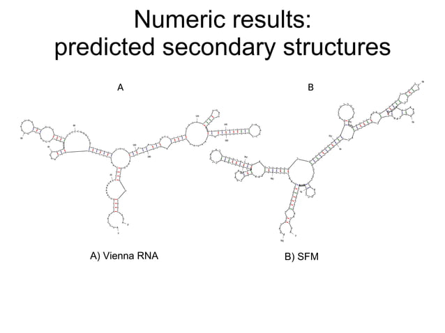 Sequential Folding Model Of Rna Secondary Structure Ppt