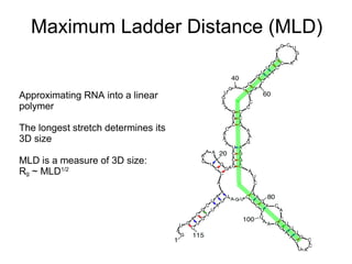 Sequential Folding Model of RNA secondary structure | PPT