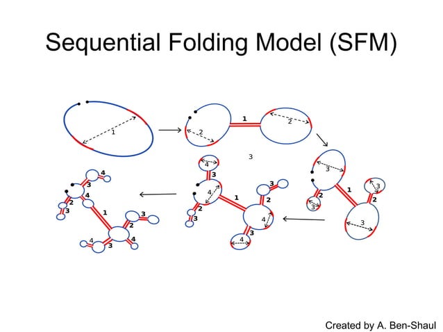 Sequential Folding Model Of Rna Secondary Structure Ppt