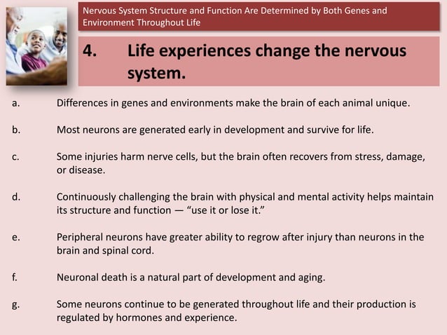 Sf n neuroscience core concepts powerpoint | PPT