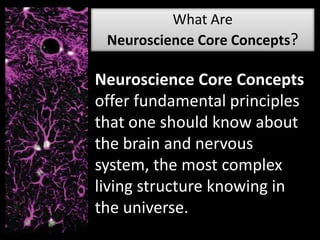 Sf n neuroscience core concepts powerpoint | PPTX