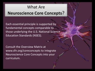 Sf n neuroscience core concepts powerpoint | PPTX