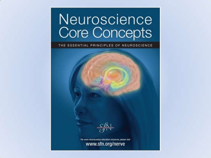Sf N Neuroscience Core Concepts Powerpoint