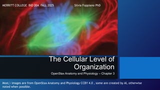 SF_OpenStax Anatomy and Physiology Chapter 3_Sept 2, 2025.pdf