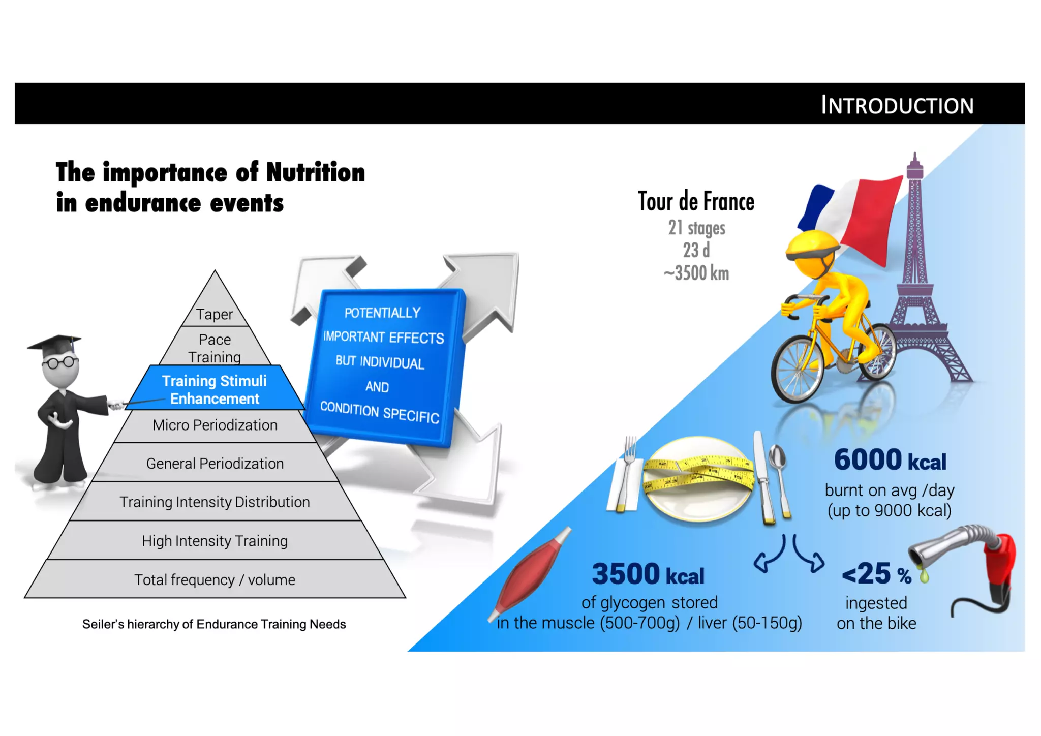 Nutritional guidelines in sport: training and competiting as an ...