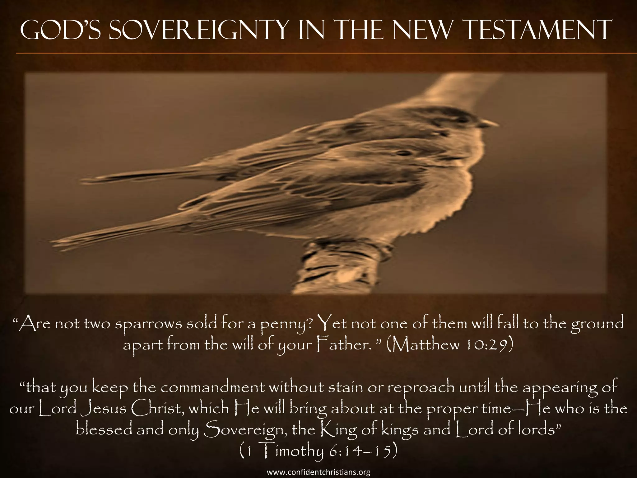 Sovereignty, Free Will, and Salvation - God's Sovereignty over ...