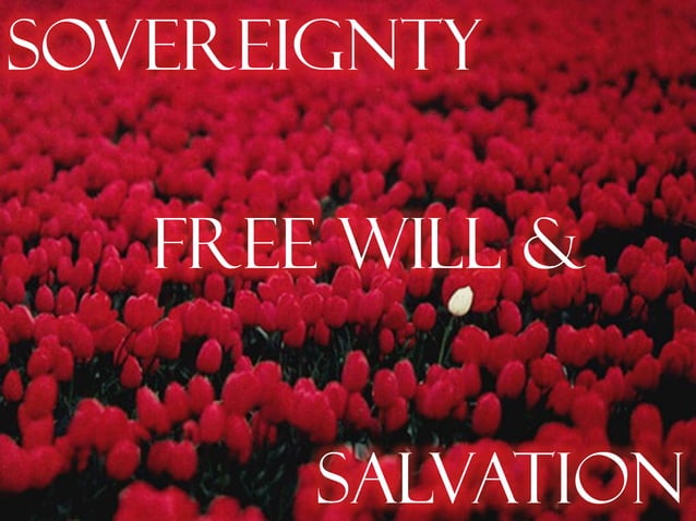 Sovereignty, Free Will, and Salvation - God's Sovereignty over ...
