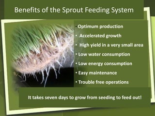 Sprout Feeding Systems a new way of thinking | PPSX