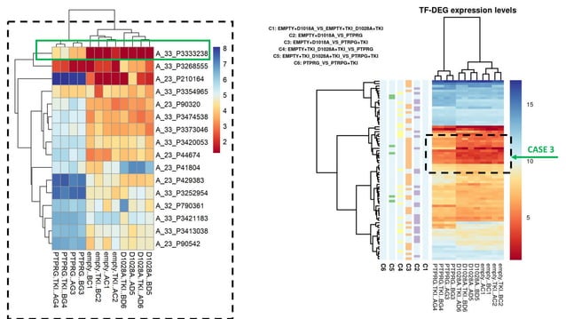 Sfscon 2020 Paola Lecca A Network Analysis Computational Pipeline To Detect Altered Gene