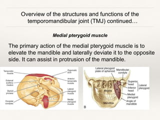 SFSM TMJD Presentation | PPT