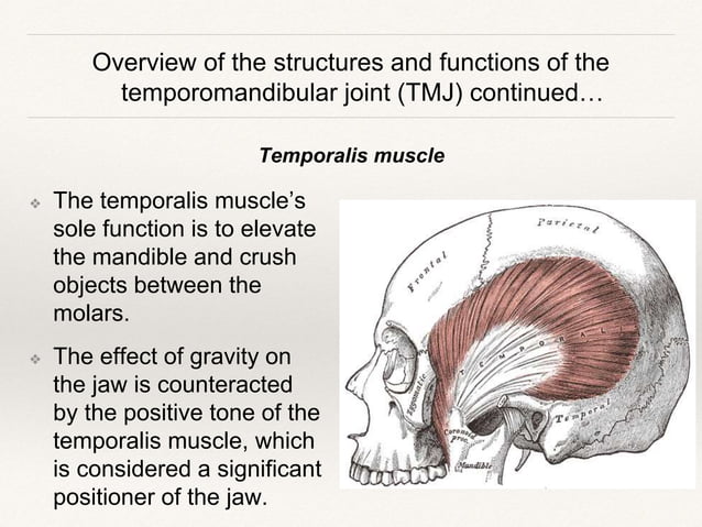 SFSM TMJD Presentation | PPT