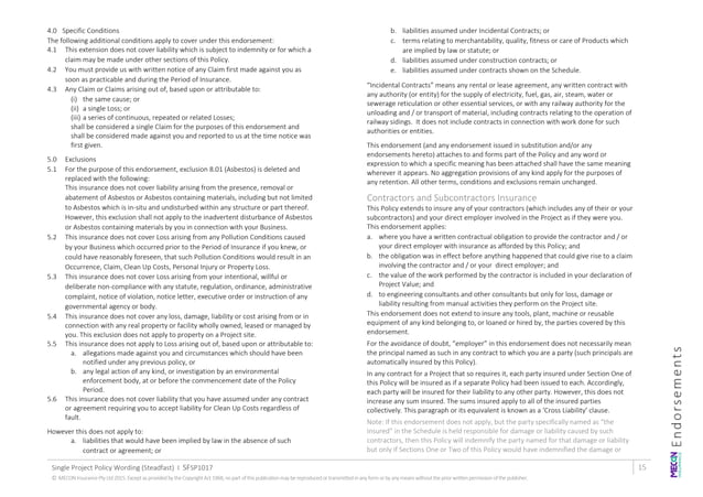 Steadfast Single Project Policy | PPT