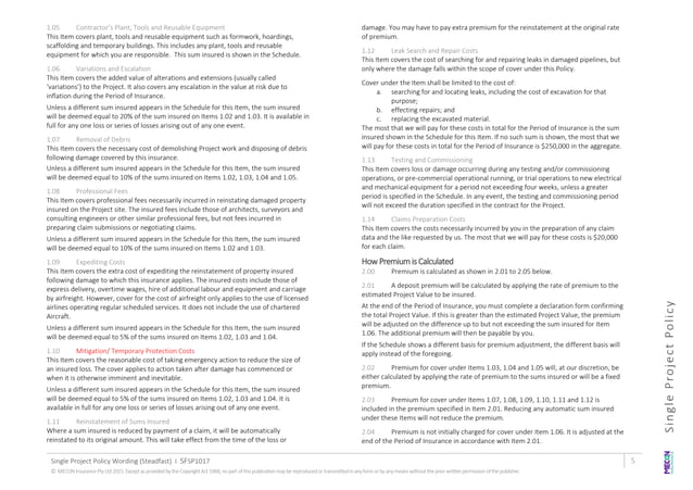 Steadfast Single Project Policy | PPT