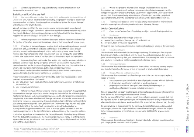 Steadfast Single Project Policy | PPT